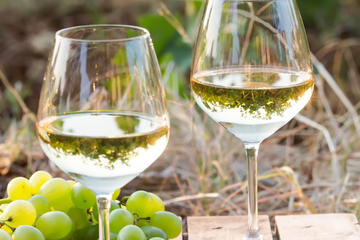 Les tendances vin 2025 : Ce que l'avenir réserve au monde du vin